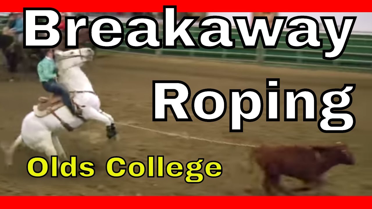 Break Away Roping at the Olds College Rodeo. - YouTube