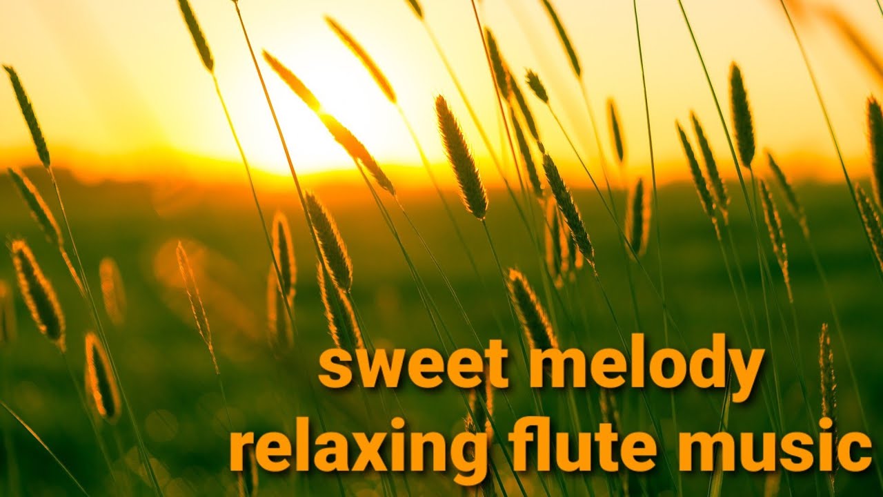 Relaxing Flute Music 2021, Calm Music, Relaxing Music, Flute Music ...