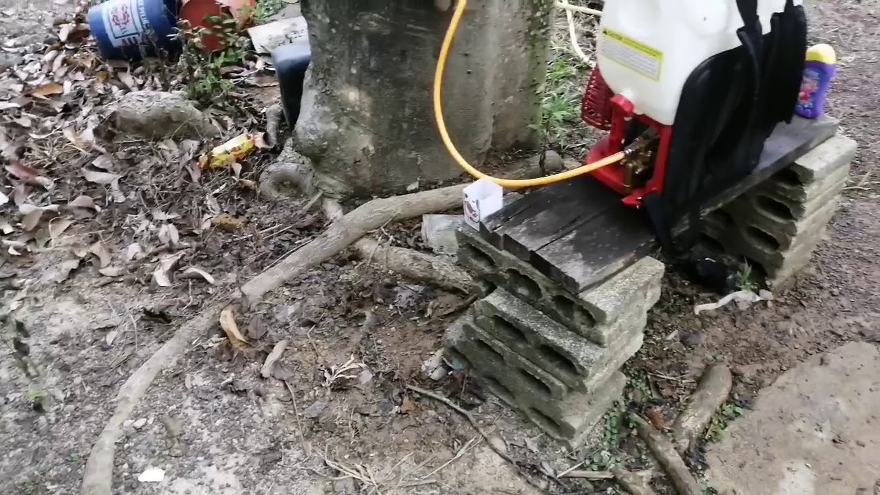 Meracun kebun.. #SUNtairide - YouTube