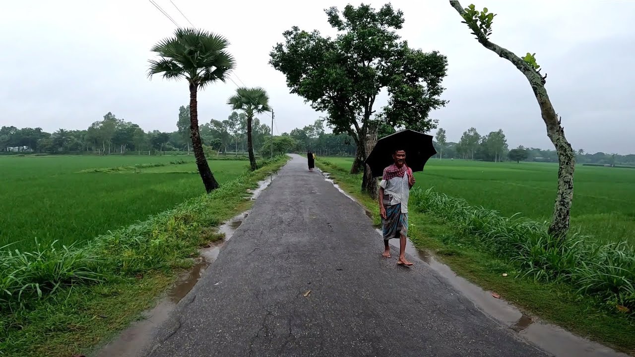 Amazing Rainy Day in Village। Rain Day in Rural Life।বৃষ্টিমুখর দিনে ...