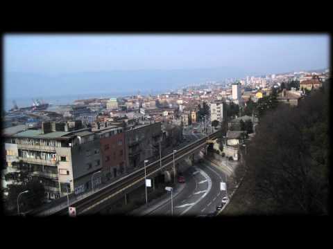 Darkwood Dub - Baobab