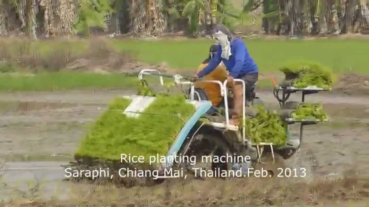 What to see on a trip to Thailand. Rice planting machine. (Panasonic ...
