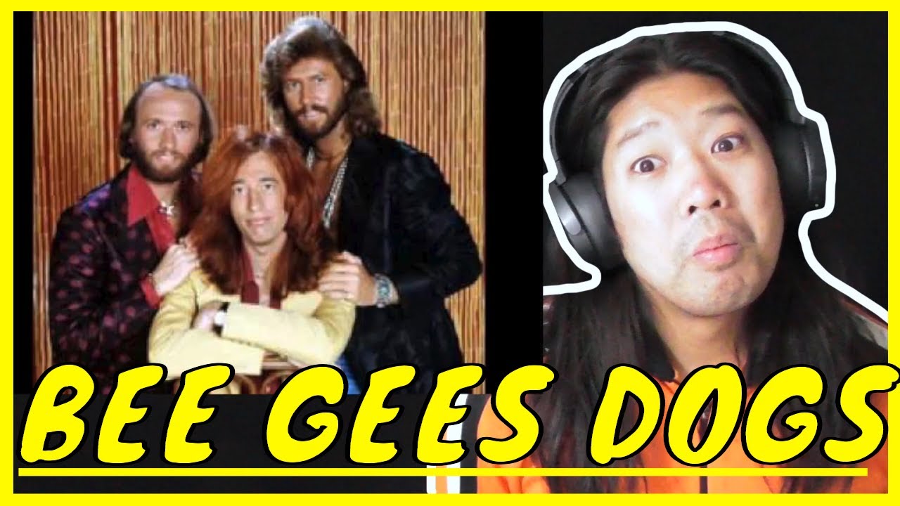 Bee Gees Dogs Reaction - YouTube