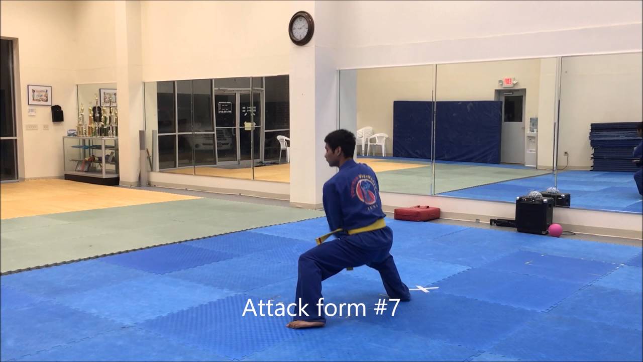 Vovinam Attack Forms #1-10 - YouTube