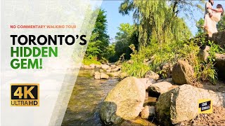 This Park is Like a Secret Garden! Edwards Garden Toronto Walking Tour