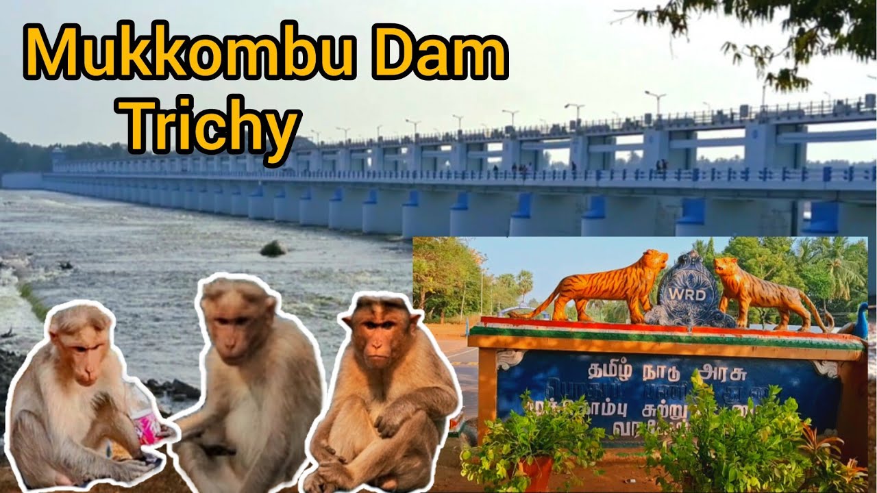 Mukkombu Dam Trichy vlog || monkeys alaparigal || Mr.GDK_vlogger - YouTube