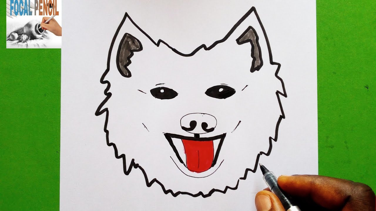 How To Draw American Eskimo Dog Stickers - YouTube