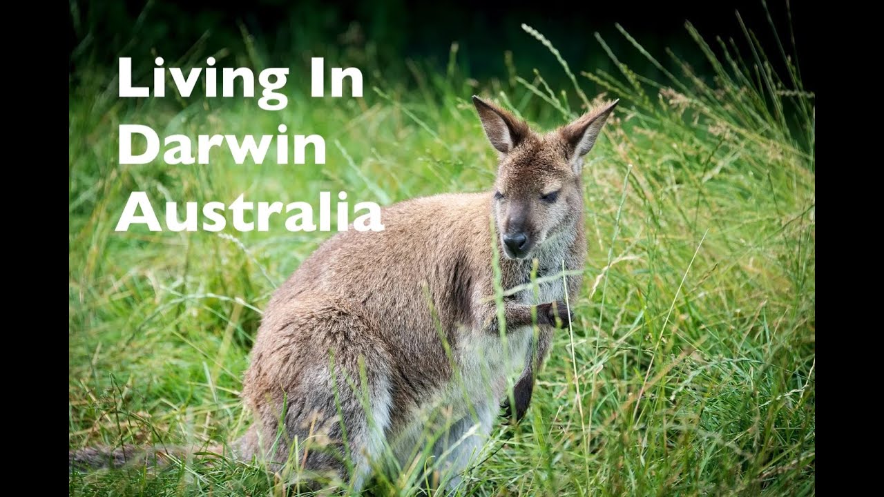 Life In Darwin, Australia 2019 - YouTube