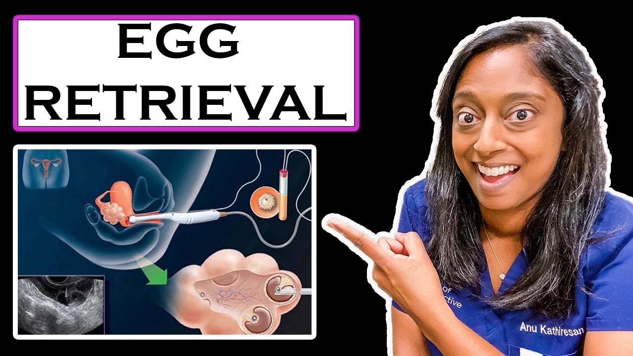 EGG RETRIEVAL - YouTube