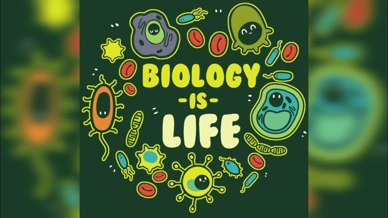 What Is Biology Introduction Of Biology YouTube what-is-biology-introduction-of-biology-youtube