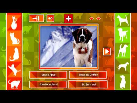 JQ: dogs & cats