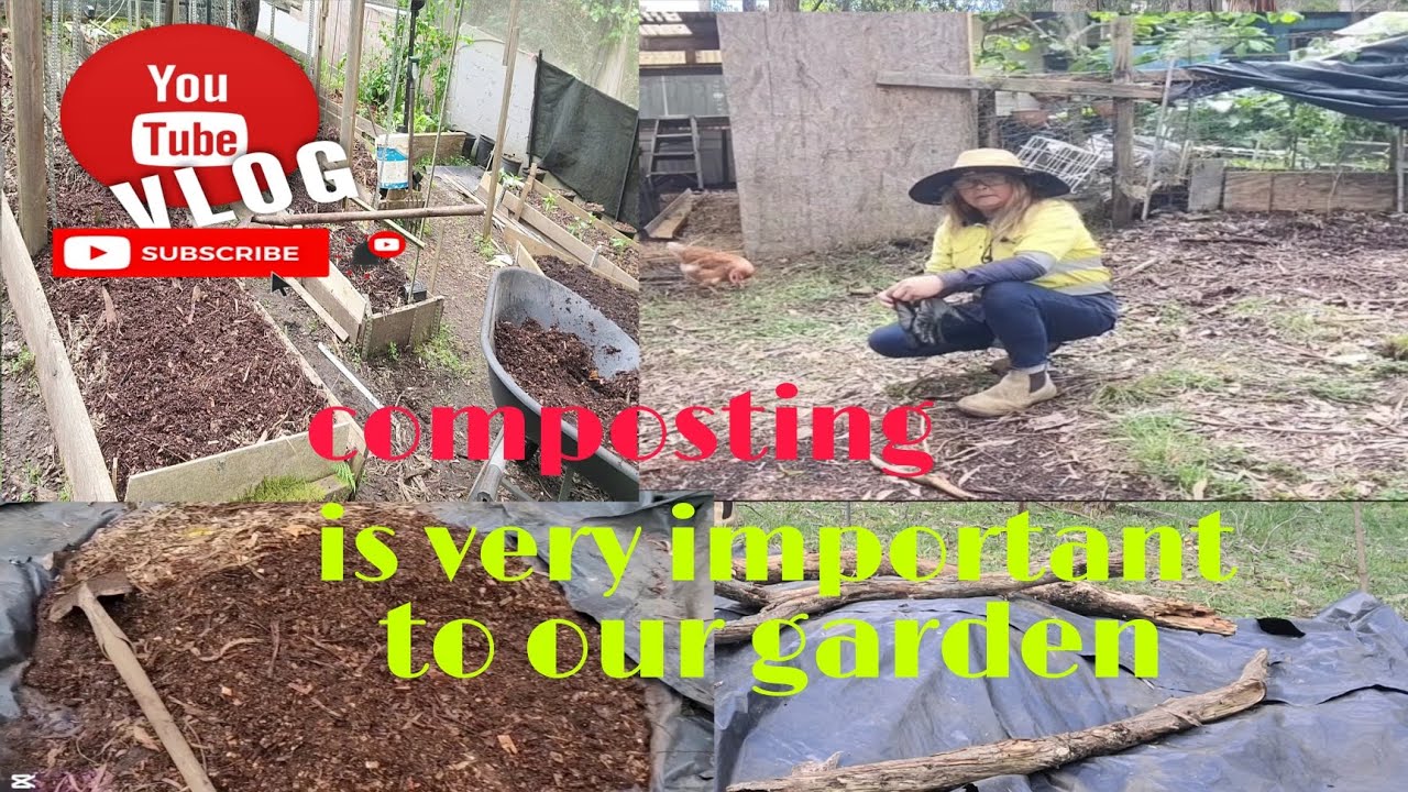 After months of covered compost, now is time to use it - YouTube