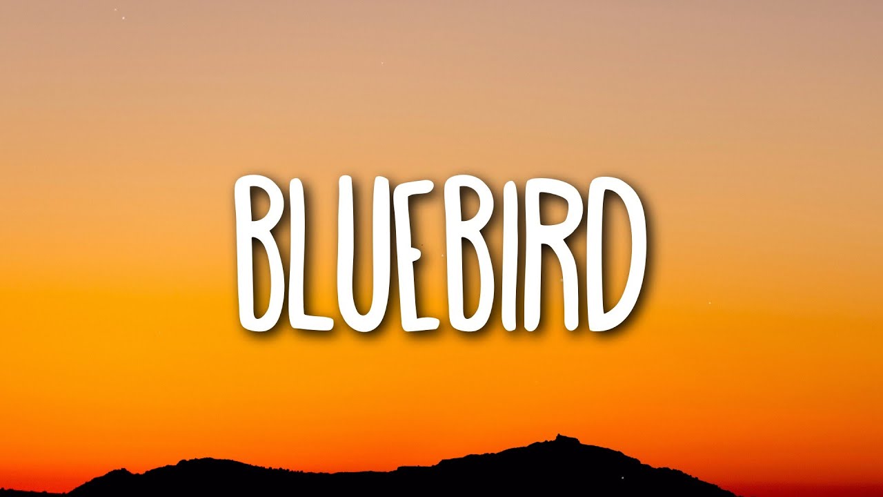 Miranda Lambert - Bluebird (Lyrics) - YouTube