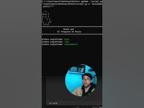 🐍 Así es Cómo Funciona un KEYLOGGER en PYTHON | Protege tu PC 🔒 #SHORTS ...