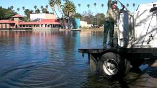DFG stocking 400lb in to Lincoln Park Lake