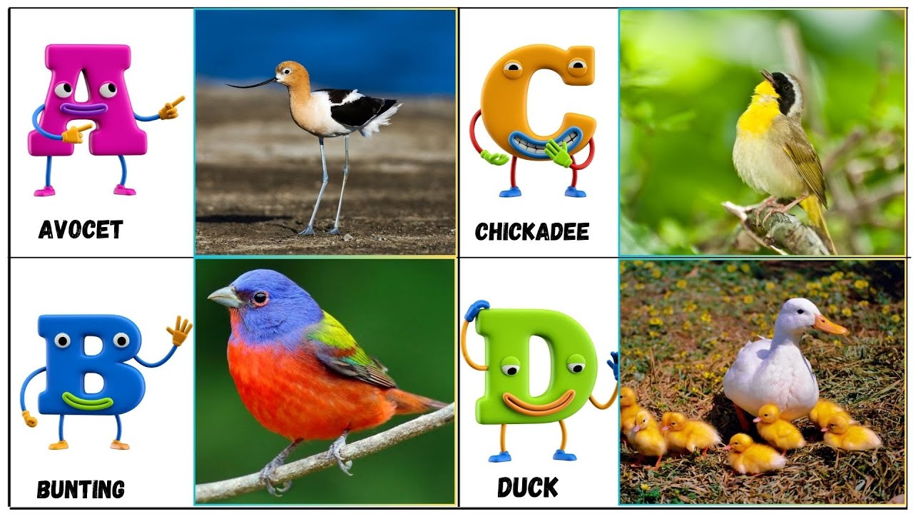 ABC Flying Animals Song for Kids | Learn English and Animals #abcd ...