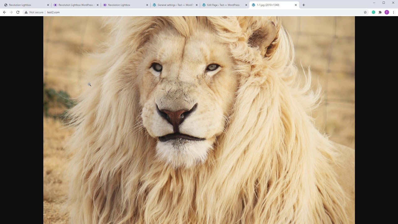 Revolution Lightbox WordPress Plugin - YouTube