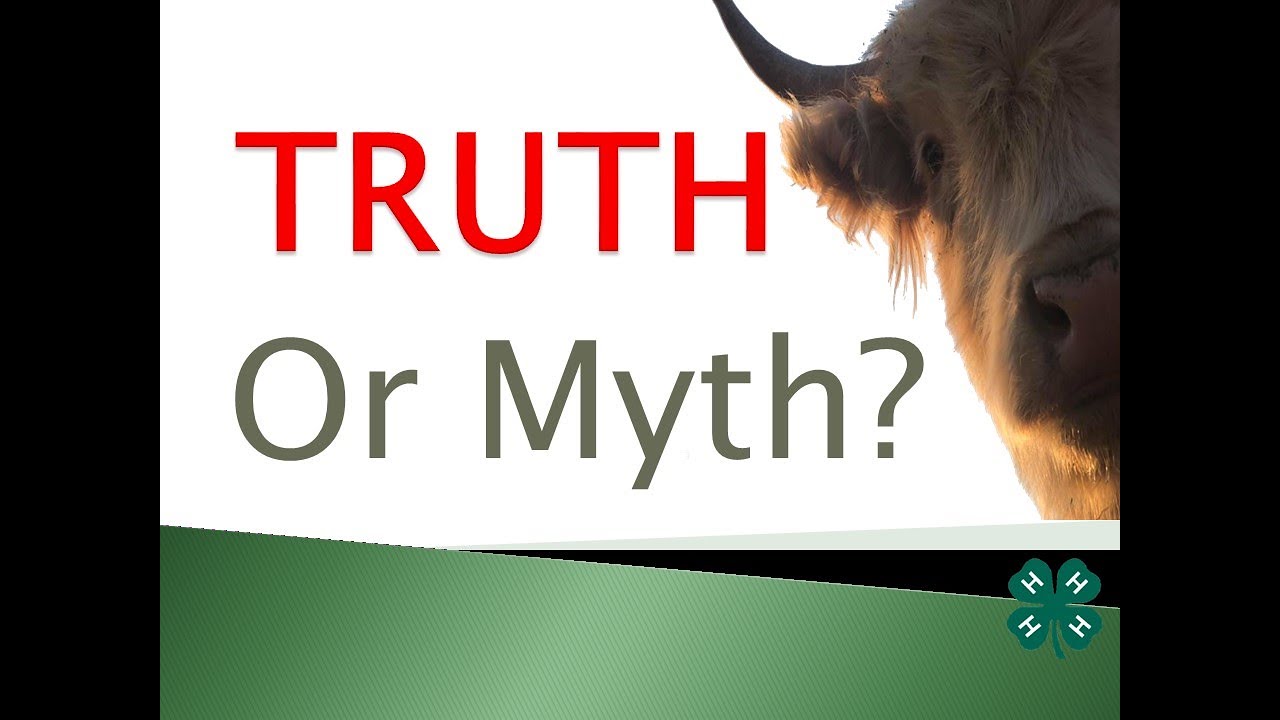 Truth or Myth Final - YouTube