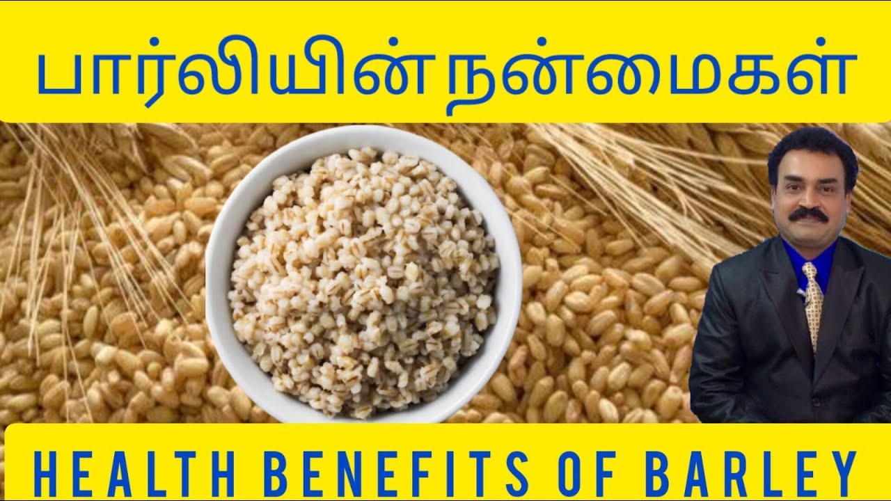 பார்லி சாப்பிடுவதால் ஏற்படக்கூடிய மருத்துவ பயன்கள்!!! / Medicinal ...