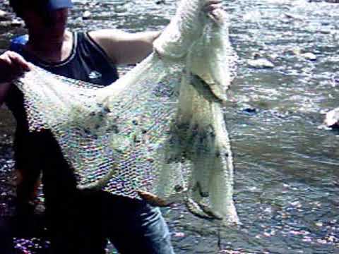 Serpmeyle balık avı