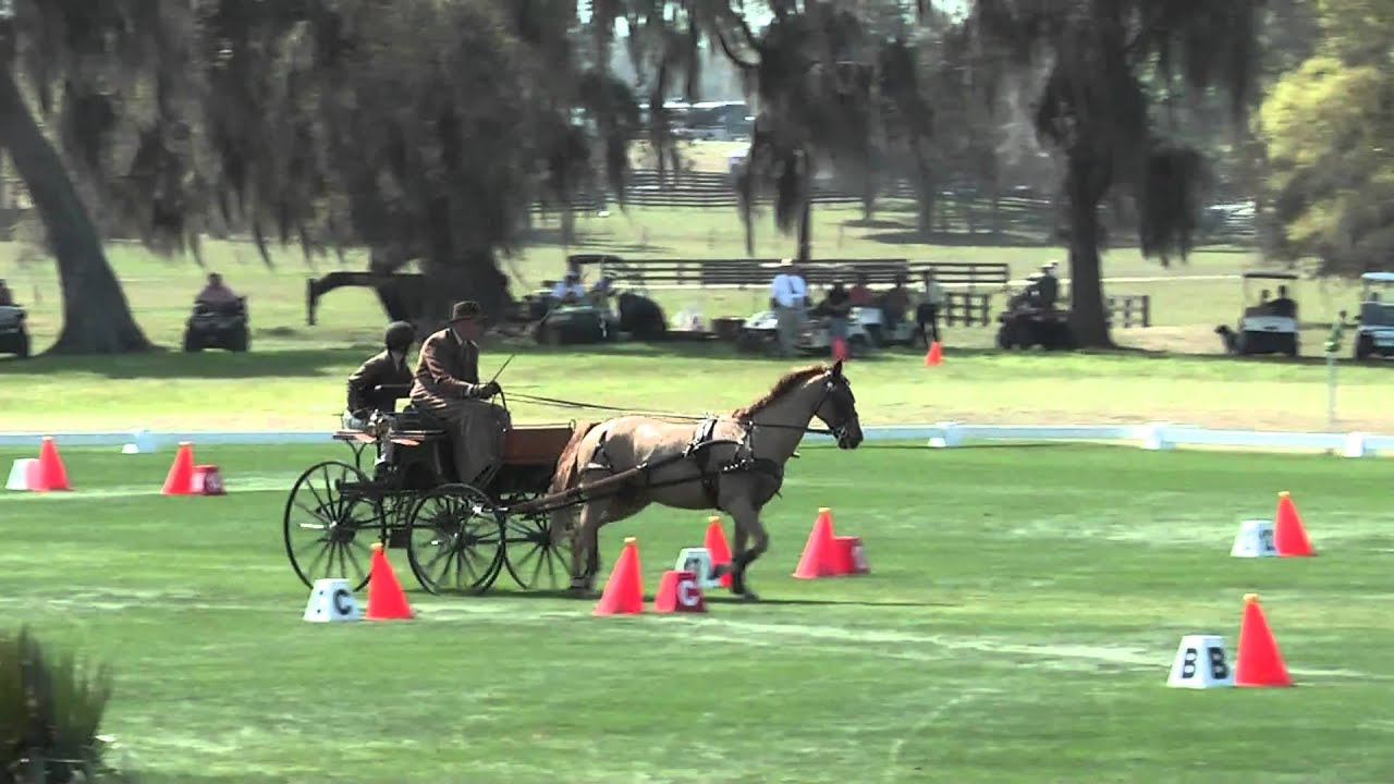 Bob Koopman cones LER 2011 - YouTube