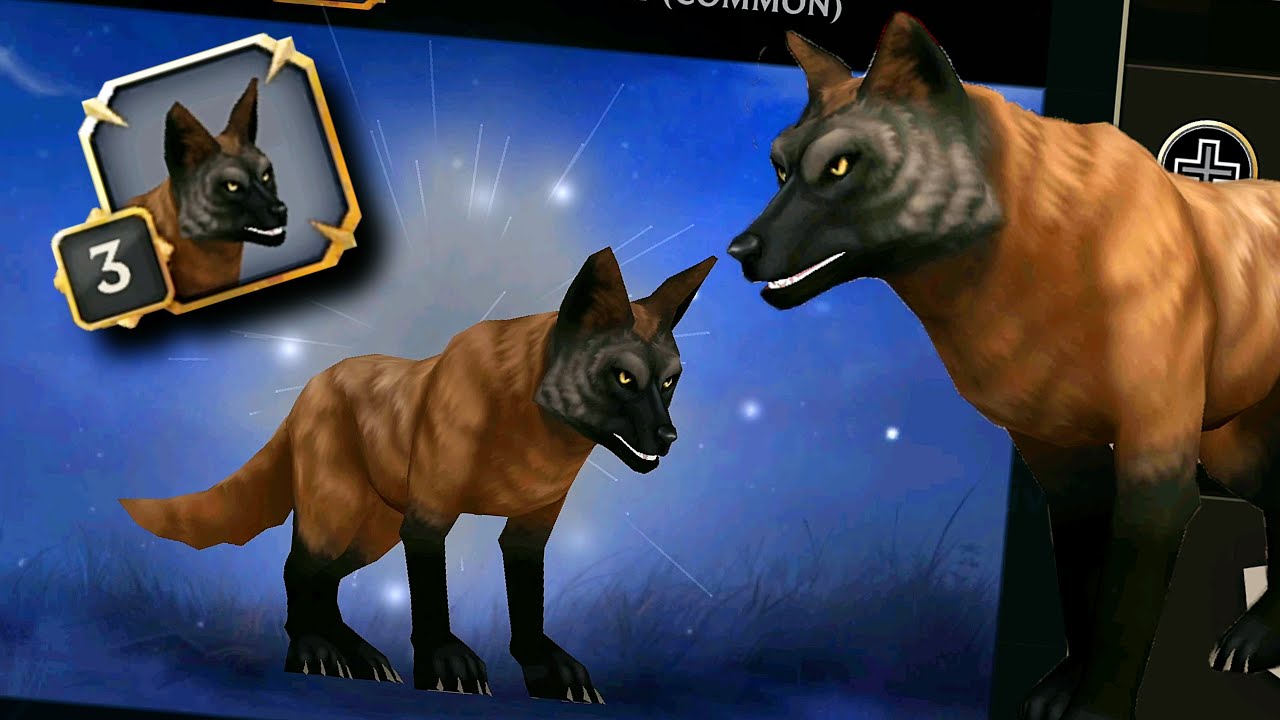 UMBRA Wolf | Wolf Tales #2 - YouTube