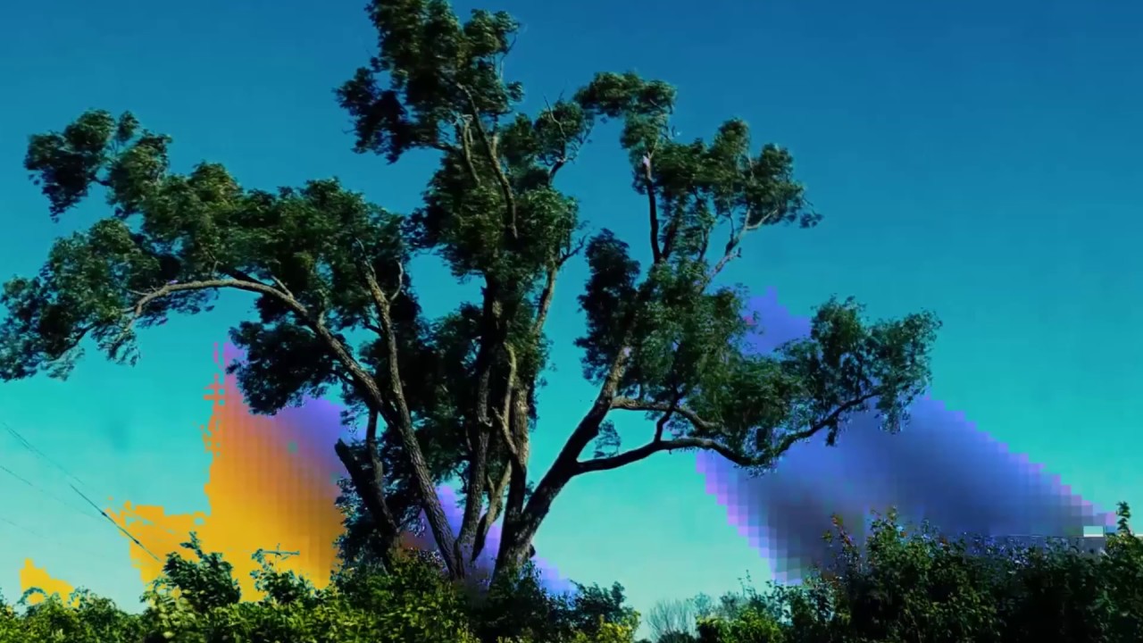Glitched Tree - YouTube