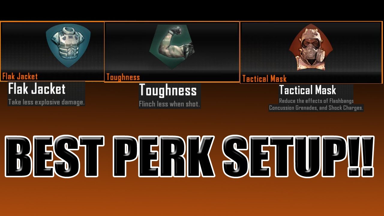 BEST BO2 PERK SETUP!!! - YouTube