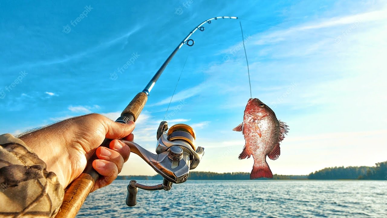 Fishing Video Traditional Fish Catching ആദ്യമായി കടലിൽ ചൂണ്ടയിട്ട് ...