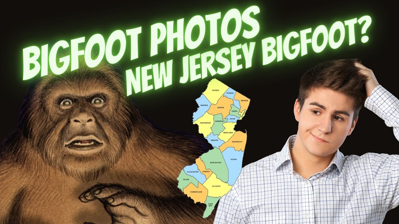 Bigfoot Photos: Bigfoot in New Jersey? | Squatch-D TV