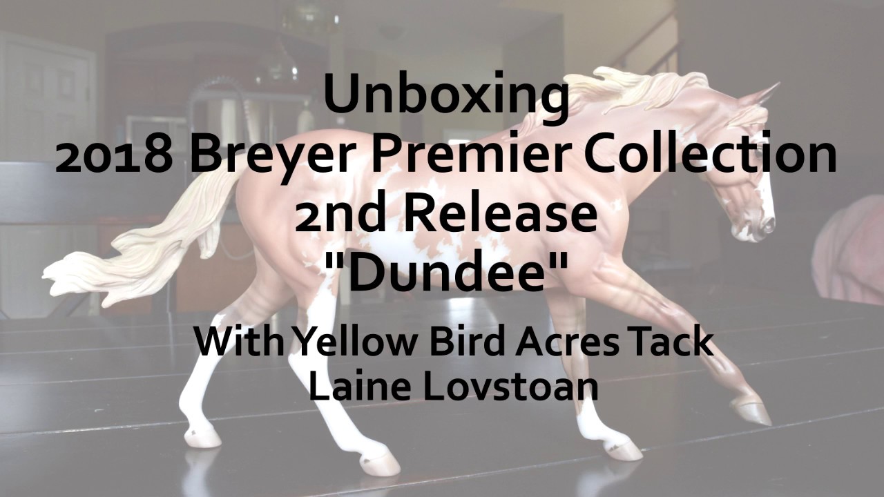 2018 Breyer Premier Collection 2nd Release "Dundee" Unboxing - YouTube