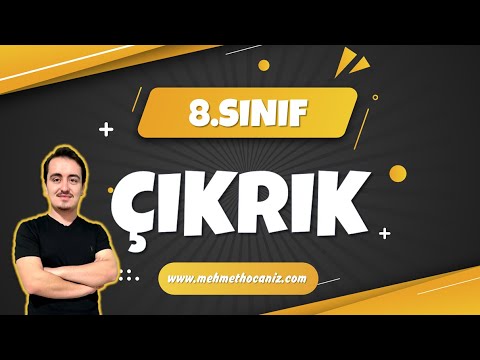 ÇIKRIK | 8.SINIF | 2022 LGS