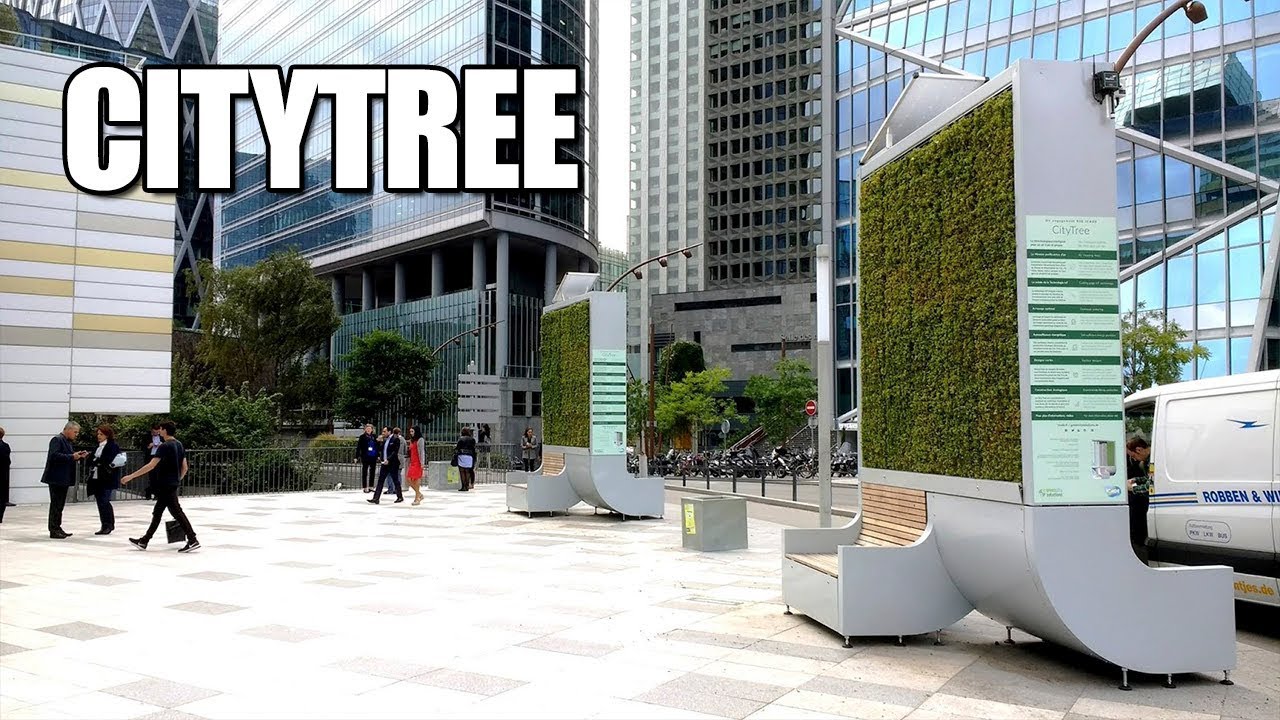 CITY TREE, A TECNOLOGIA PARA LIMPAR O AR DA CIDADE - YouTube