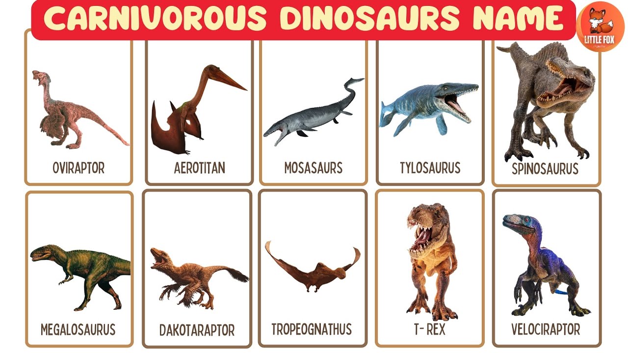 Flashcard - 50 Carnivorous Dinosaurs Name in English for toddlers # ...