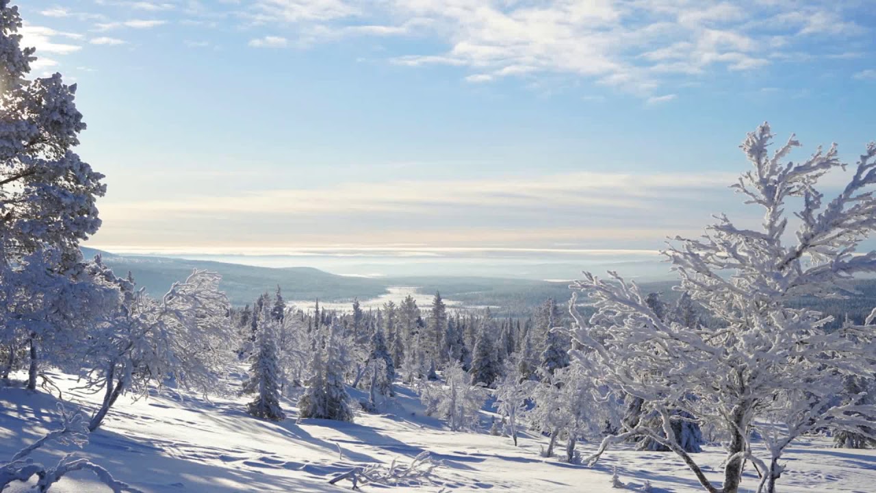 Finnish nature - YouTube