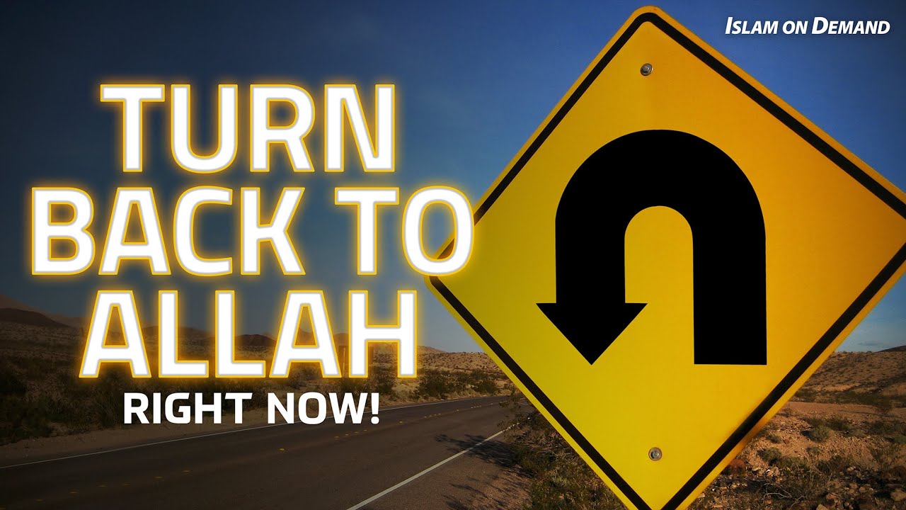Turn Back to Allah Right Now! - Hamza Yusuf - YouTube