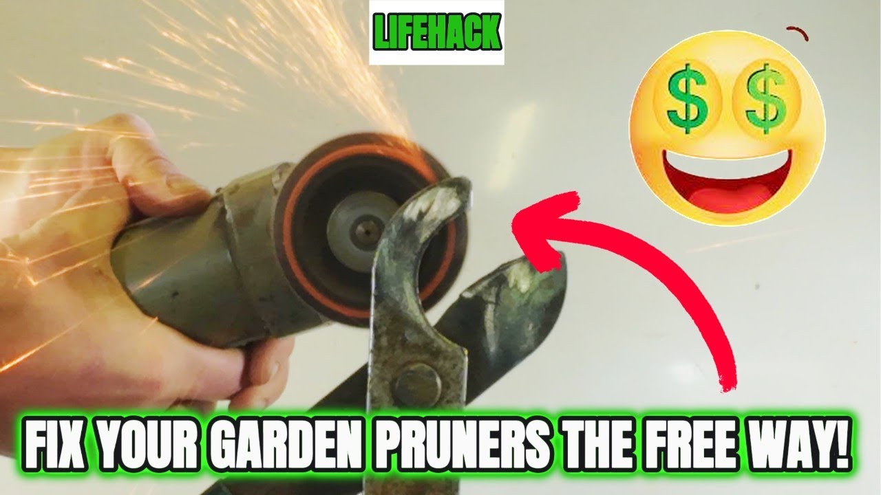 How Too Restore Your Garden Pruners: Quick and Easy Sharpening DIY ...