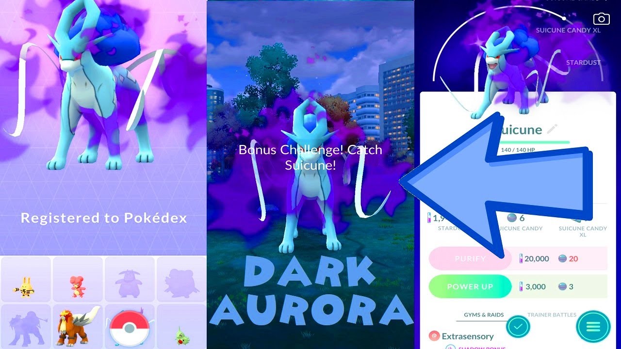 Shiny Shadow Suicune After 2 Raids - Pokemon Go - YouTube