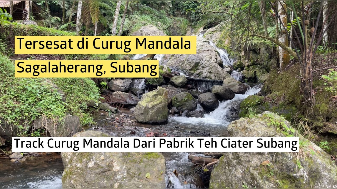 Tracking Curug Mandala, Dari Pabrik Teh Ciater Subang, Malah Tersesat 😂 ...