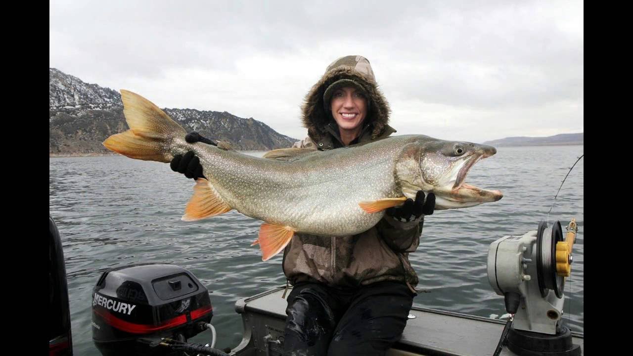 Swiss Armie Life Fishing - YouTube