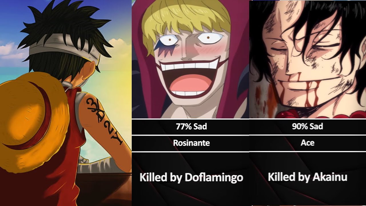 Echoes of Grief: Recalling the Saddest Moments in One Piece - YouTube