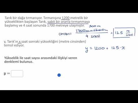 Soruya Göre Doğrusal Denklem Sisteminin Kurulması (Matematik) (Cebir)