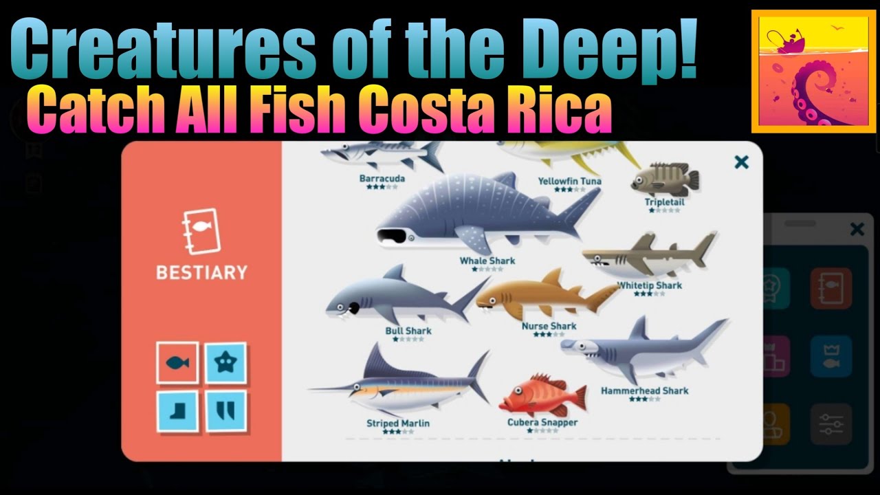 CATCH ALL FISH IN 5 MINUTES COSTA RICA - CREATURES OF THE DEEP FISHING ...