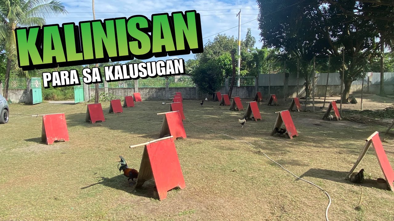 PANATILIHING MALINIS ANG FARM - YouTube