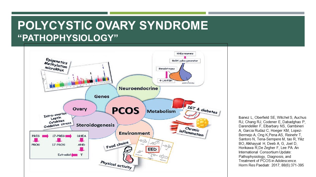 PCOS lecture - YouTube