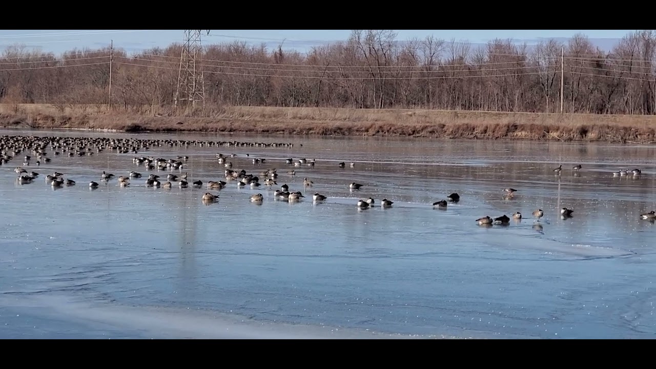 Crowded lake - YouTube