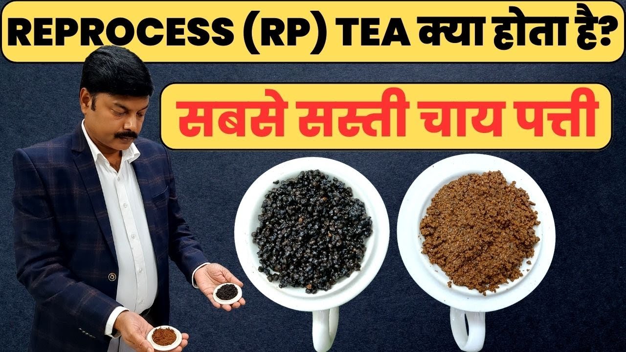 What is Reprocess (RP) Tea? | Chai Guru | #teabusiness #tea - YouTube
