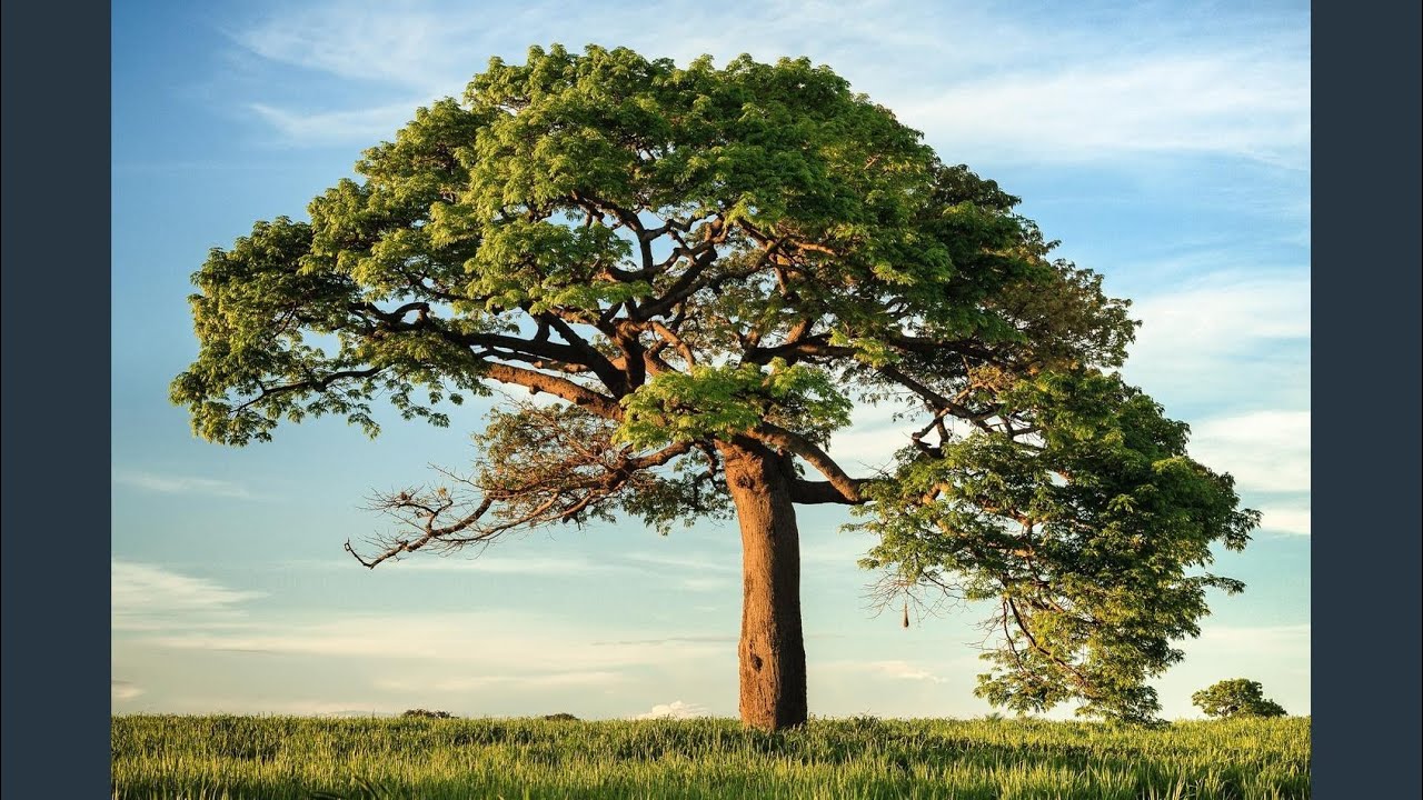 I See Land - YouTube