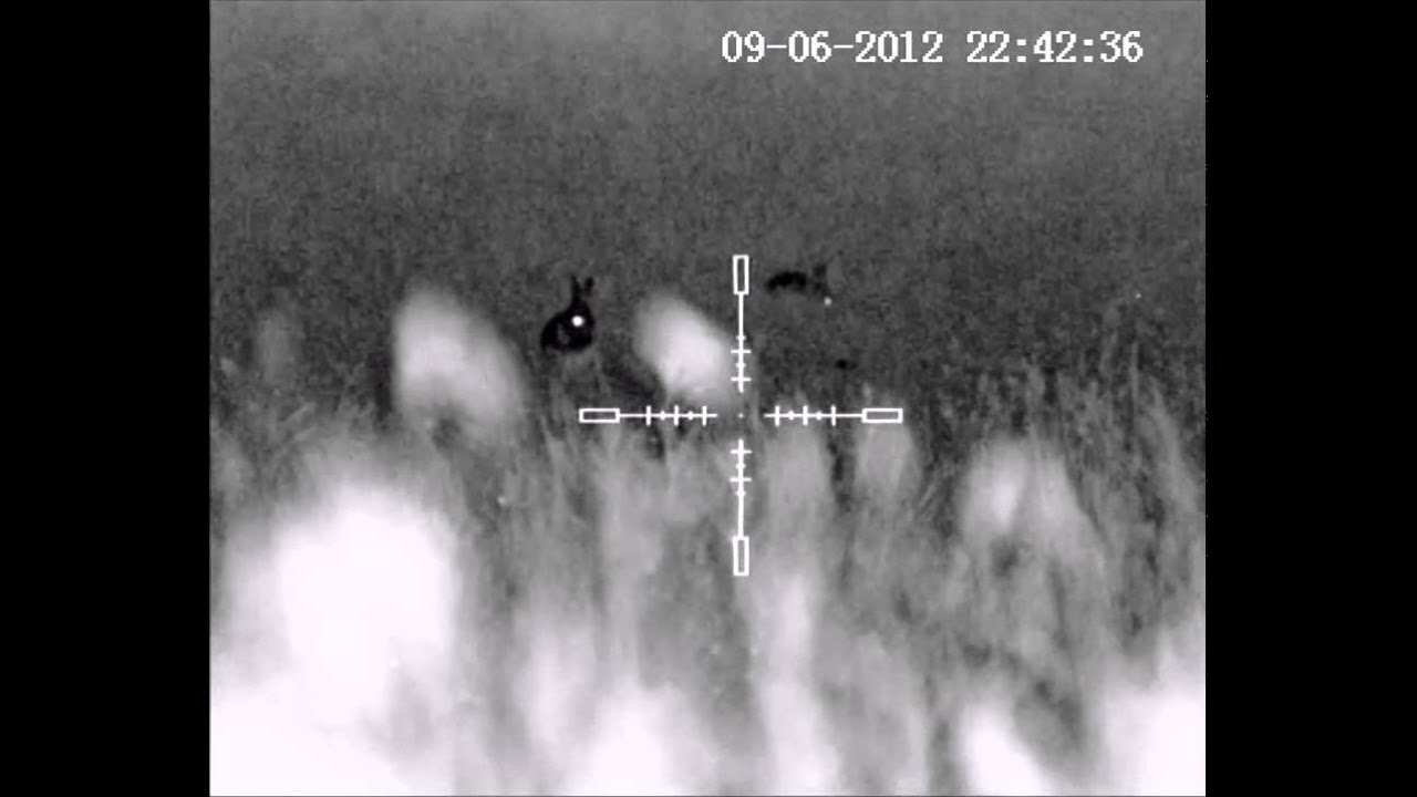 Pulsar Digisight N550 Video 1 - YouTube