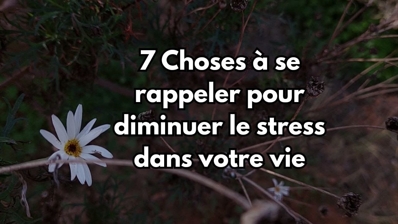 7 Choses à se rappeler pour diminuer le stress dans votre vie & devenir ...